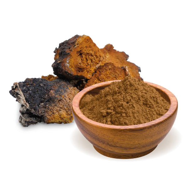 Chagasvampeekstrakt - 600 mg - 60 veganske kapsler fra OstroVit